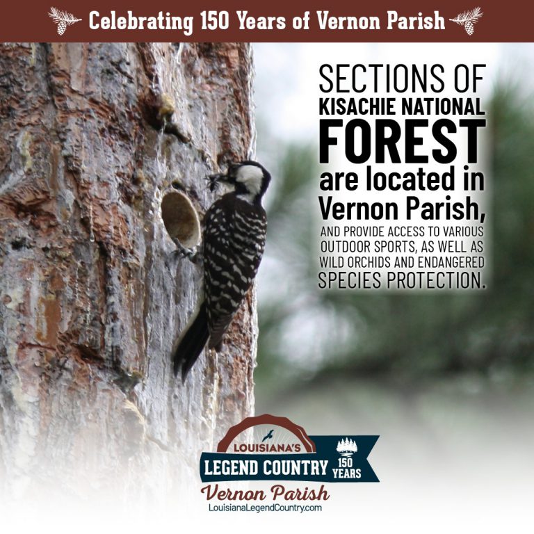 150 Years of Vernon Parish - Vernon Parish Louisiana's Legend Country