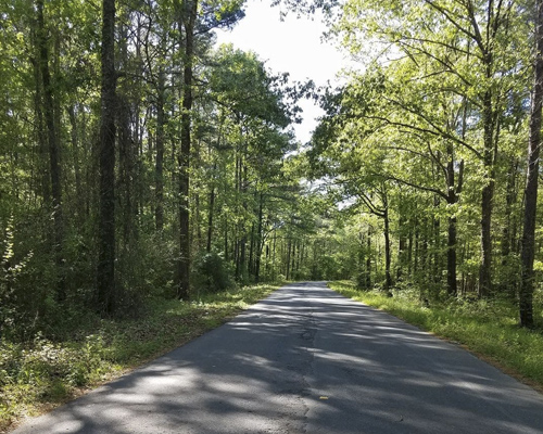 Motorcycle Touring - Vernon Parish Louisiana's Legend Country